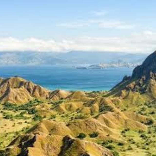 Produk Ayanie Shop | Shopee Indonesia