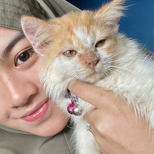 Produk Ase.id | Shopee Indonesia