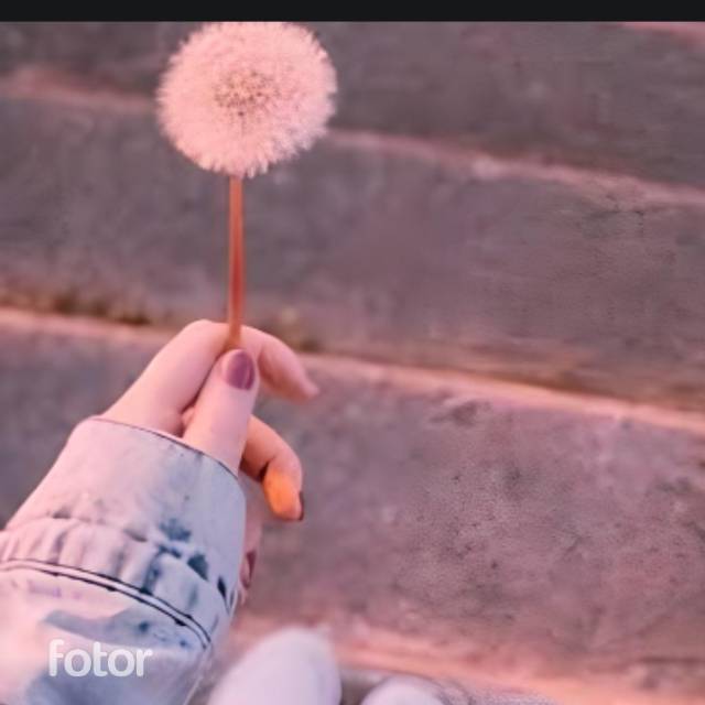 Produk oreo rio | Shopee Indonesia