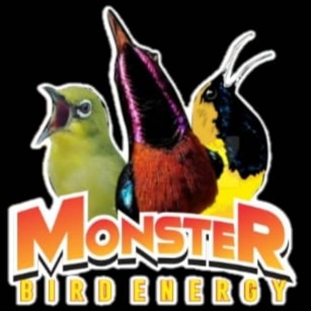 Produk Monster Bird Energy | Shopee Indonesia