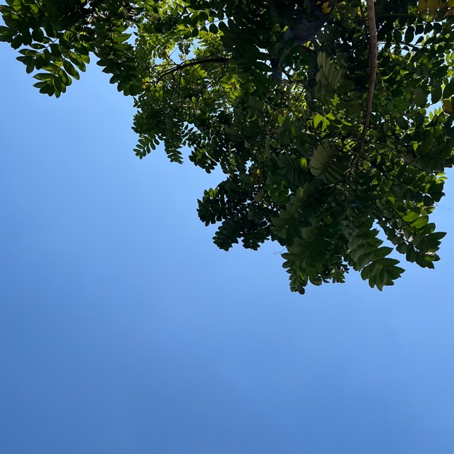 Produk shl_store_ | Shopee Indonesia