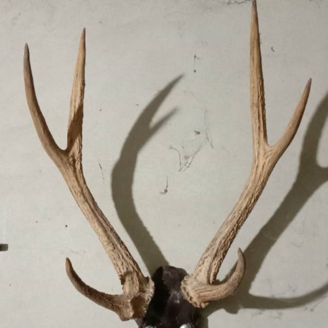 Produk Antik Serabutan01 | Shopee Indonesia