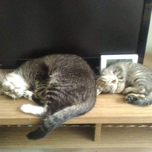 Produk Toko Rini 1986 | Shopee Indonesia