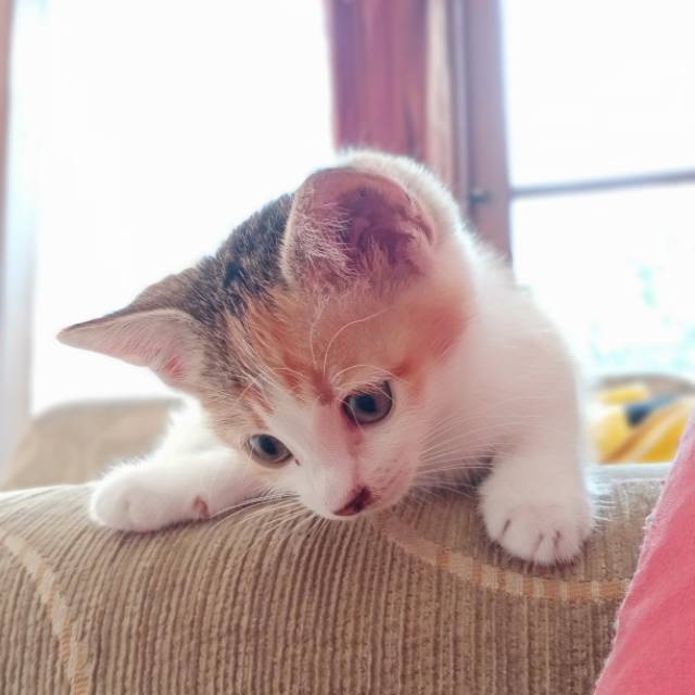 Produk Utelo Shop | Shopee Indonesia