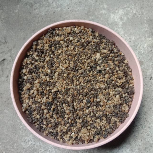 Produk sega oyek | Shopee Indonesia