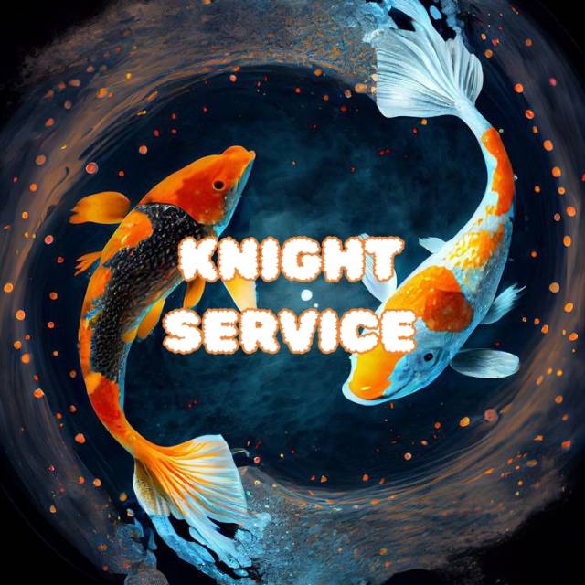 Produk Knight Service | Shopee Indonesia