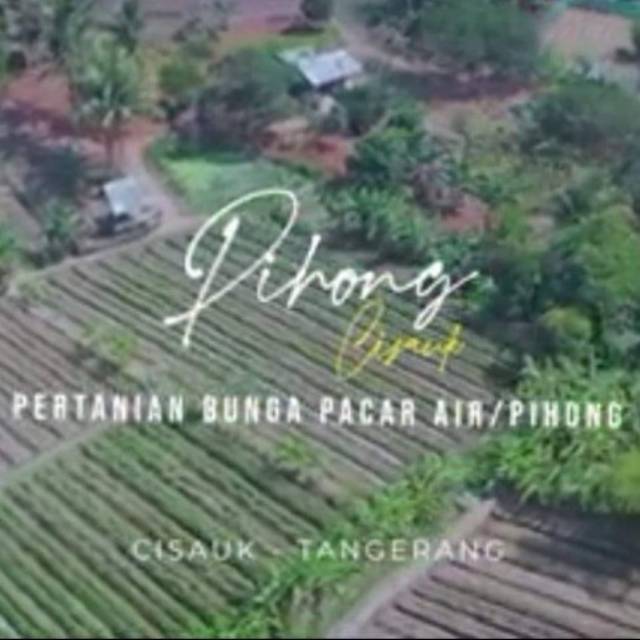 Produk Pihong Cisauk | Shopee Indonesia