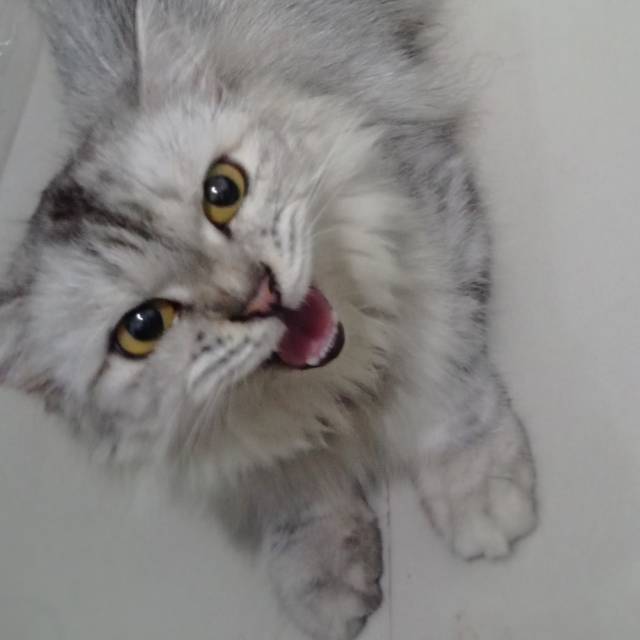 Produk Hayati .ID | Shopee Indonesia