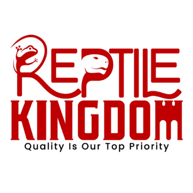 Produk Reptile Kingdom | Shopee Indonesia