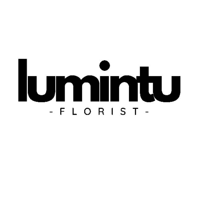 Produk lumintu.florist | Shopee Indonesia