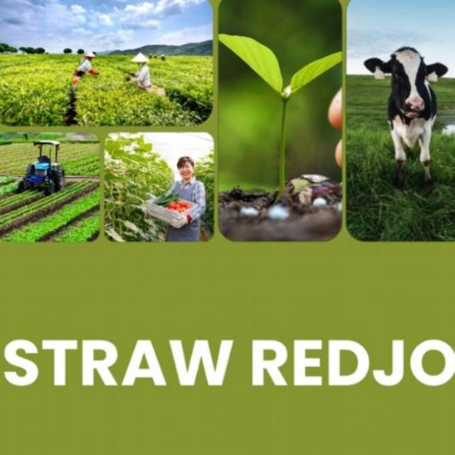Produk Straw Redjo_Official | Shopee Indonesia