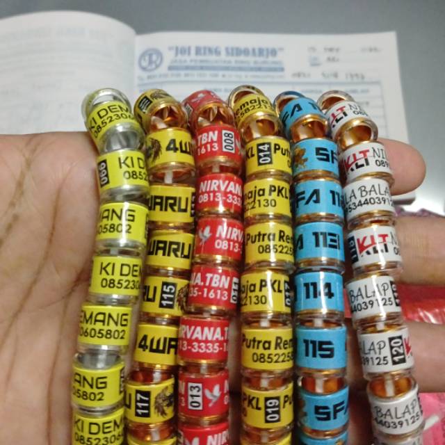 Produk Joi Ring Burung & Ruji Fiber | Shopee Indonesia