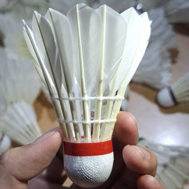 Produk Badminton Hub | Shopee Indonesia