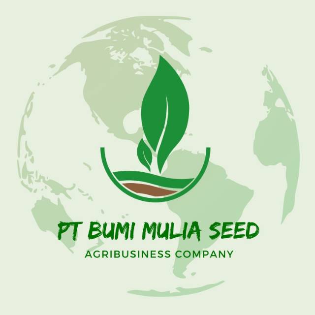 Produk Bumi Mulia Official | Shopee Indonesia
