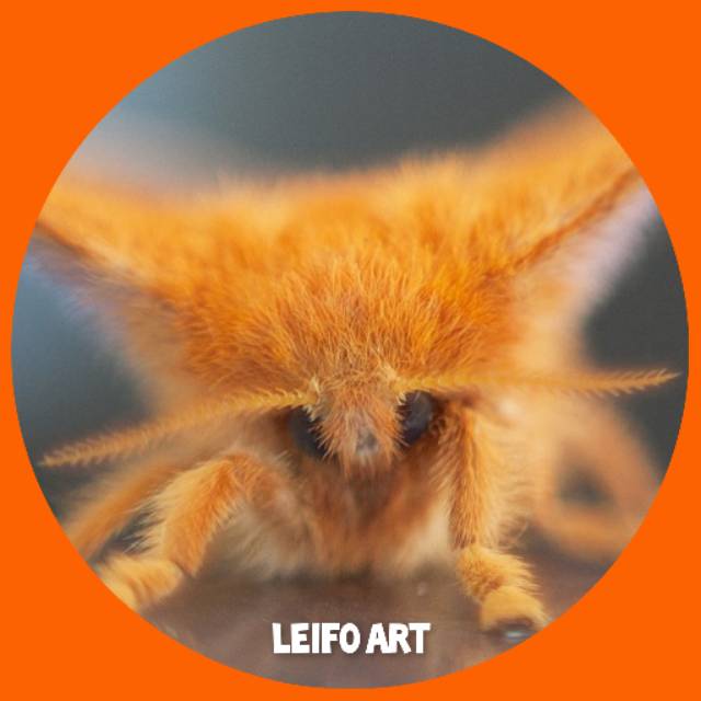 Produk LEIFO ART 10.2__ | Shopee Indonesia