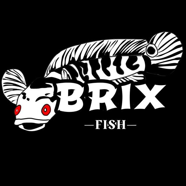 Produk BRIX FISH | Shopee Indonesia