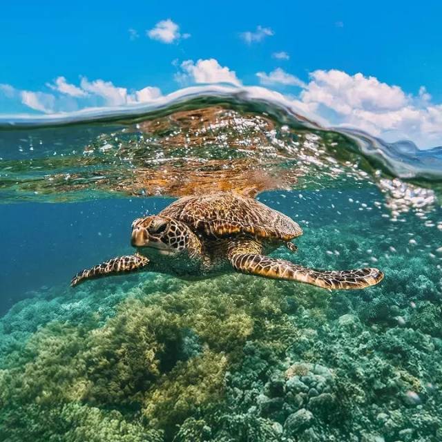 Produk Skin care Addict official | Shopee Indonesia