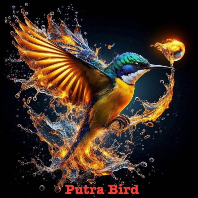 Produk Putra Bird | Shopee Indonesia