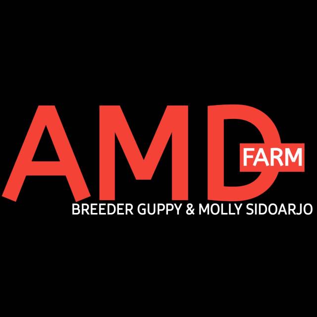 Produk AMD GUPPY FARM | Shopee Indonesia