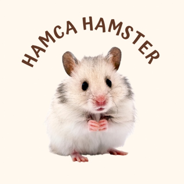 Produk Hamca Hamster | Shopee Indonesia