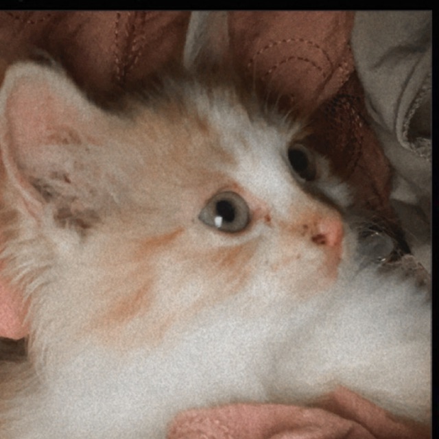 Produk diarissa_ | Shopee Indonesia