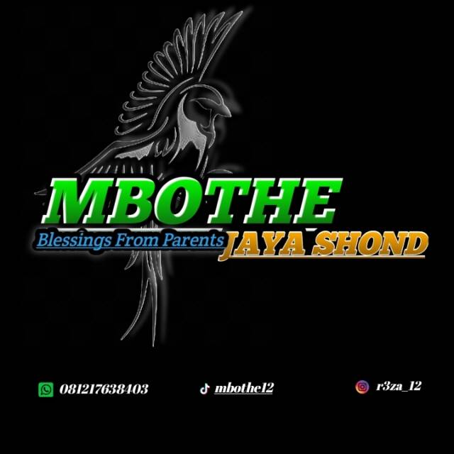 Produk Mbothe jaya shond | Shopee Indonesia