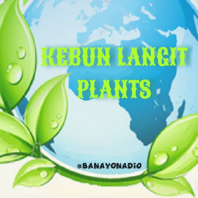 Produk KEBUN LANGIT PLANTS | Shopee Indonesia