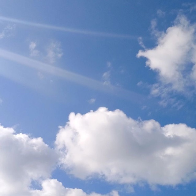 Produk Utkarsh.co | Shopee Indonesia