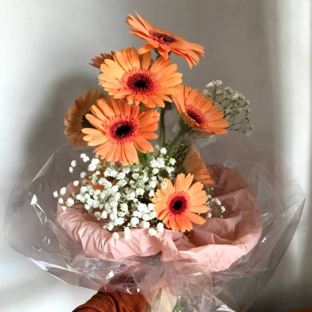 Produk Artsy mess | Shopee Indonesia