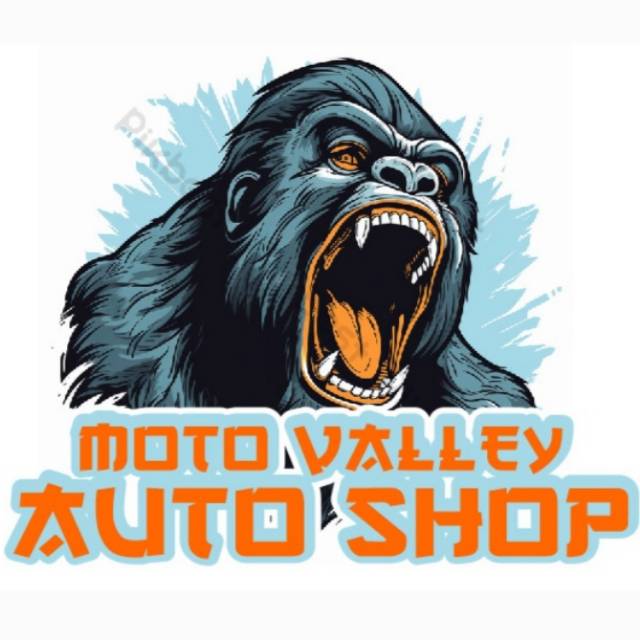 Produk Moto Valley Auto Shop | Shopee Indonesia