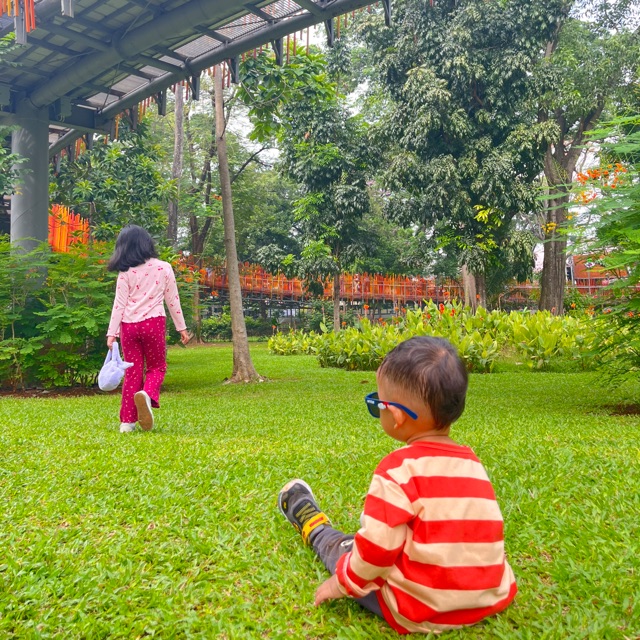 Produk Little chimi | Shopee Indonesia