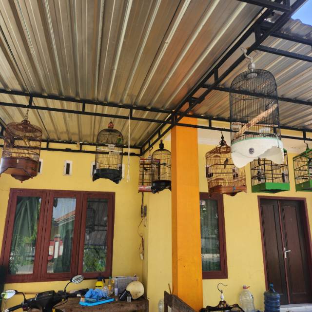 Produk PANG AI DIGITAL | Shopee Indonesia