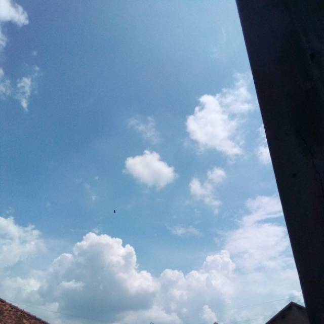 Produk ROFF STORE | Shopee Indonesia