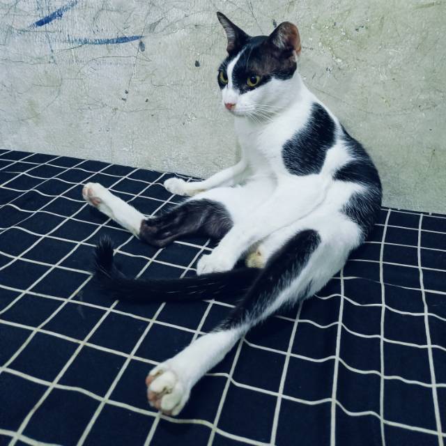 Produk Ff_galery | Shopee Indonesia