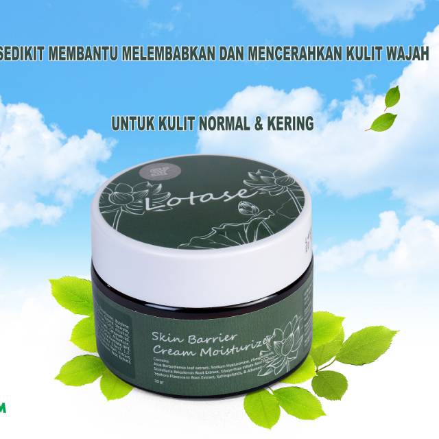 Produk Lotase Store | Shopee Indonesia