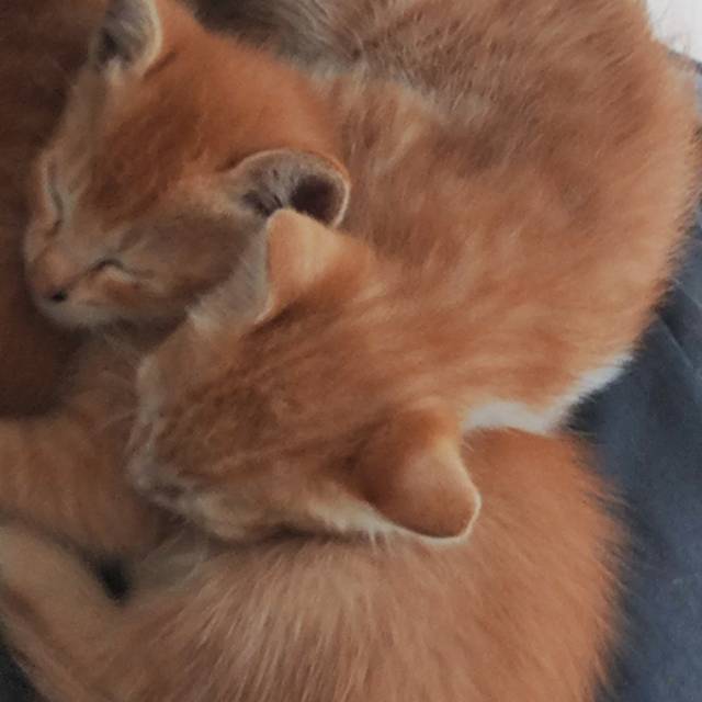 Produk Unitop Store | Shopee Indonesia