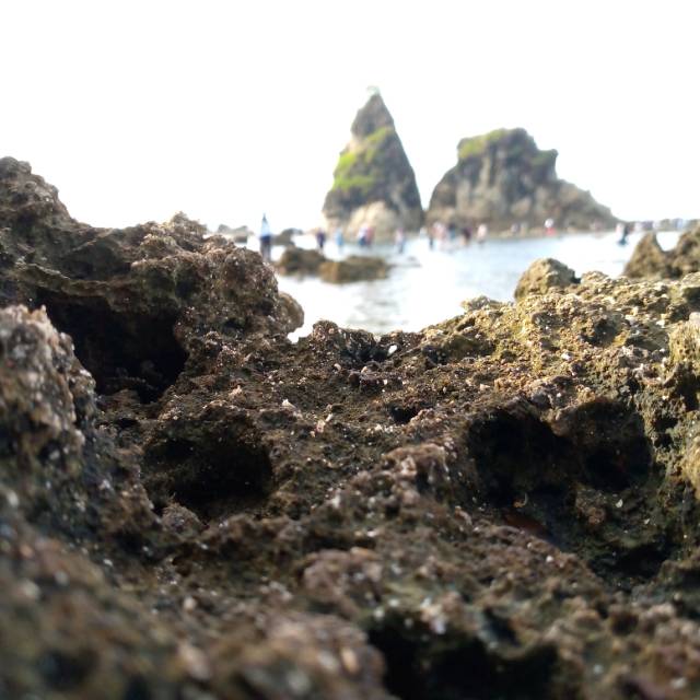 Produk Bos oil | Shopee Indonesia