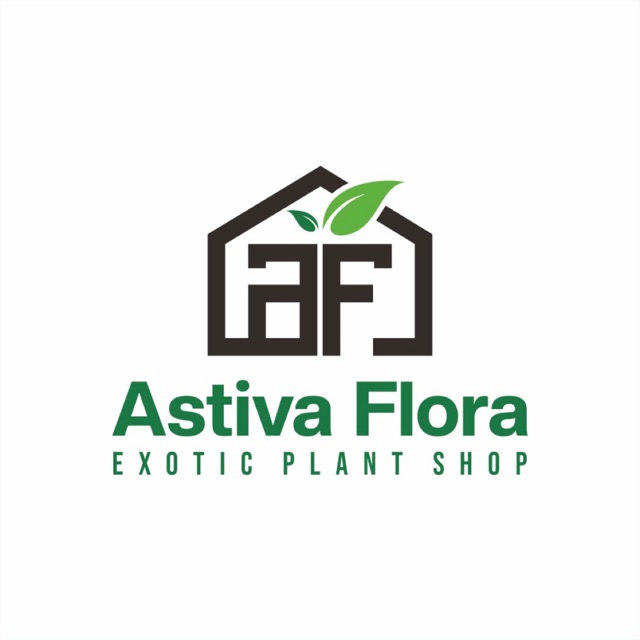 Produk Astiva Flora1 | Shopee Indonesia