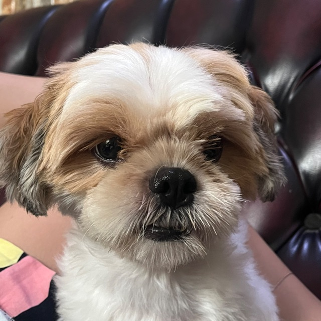 Produk apaajalahyaaaaaaaaaaaaaaaaaaaa | Shopee Indonesia