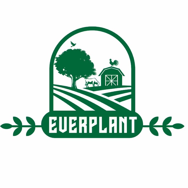 Produk Everplant | Shopee Indonesia