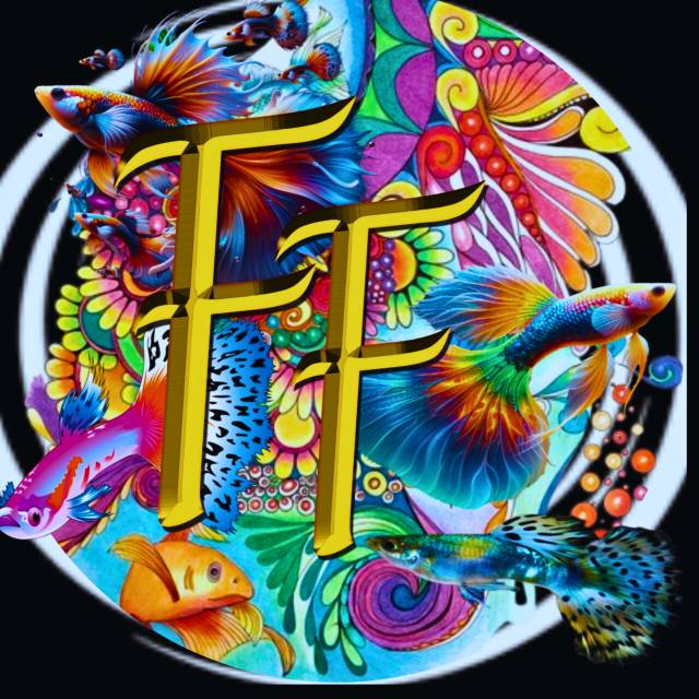 Produk FF_Fish Store | Shopee Indonesia