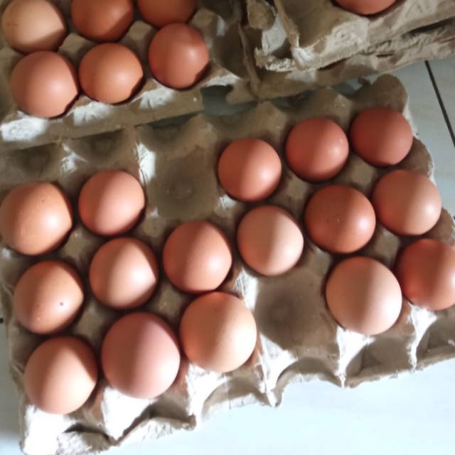 Produk SULIN FARM | Shopee Indonesia