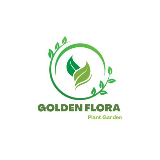Produk GOLDEN FLORA | Shopee Indonesia