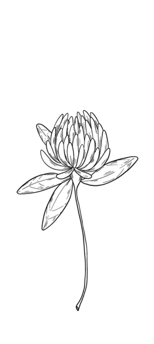 Produk Bunga Clover | Shopee Indonesia