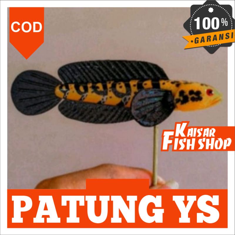 Produk kaisarfishfarm | Shopee Indonesia