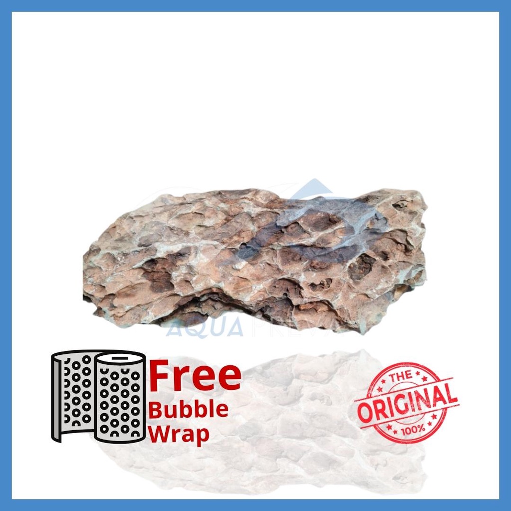 Produk Aqua Preva | Shopee Indonesia