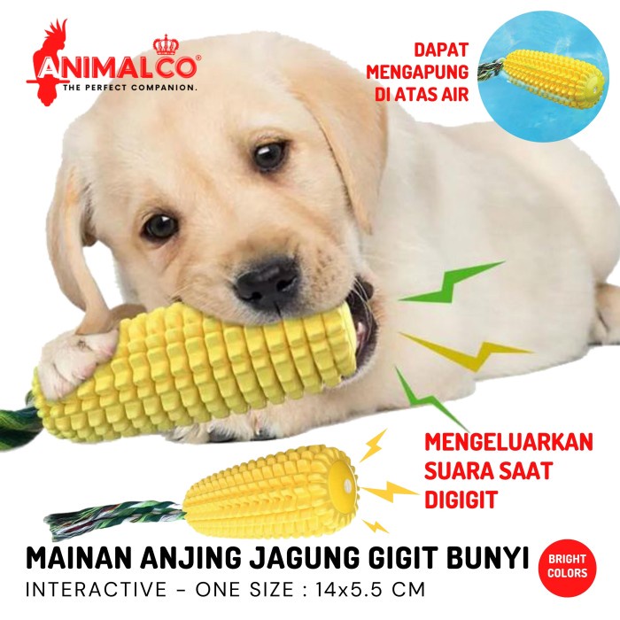 Produk Animal Co | Shopee Indonesia