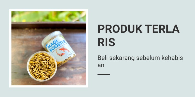 Produk Magi Farm | Shopee Indonesia