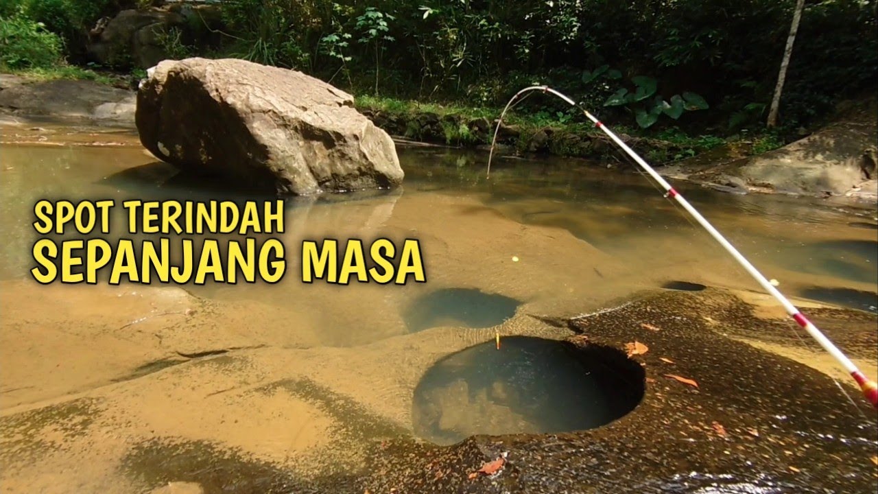 Produk Mancing Wader Online | Shopee Indonesia