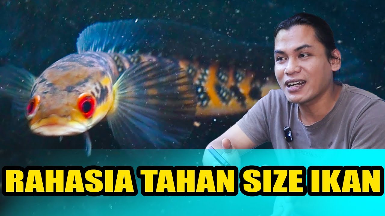 Toko Online BERRITZ Official Store | Shopee Indonesia